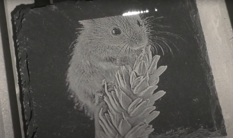 20W MOPA Fiber Laser: Epic Photo Engrave On Slate Advice